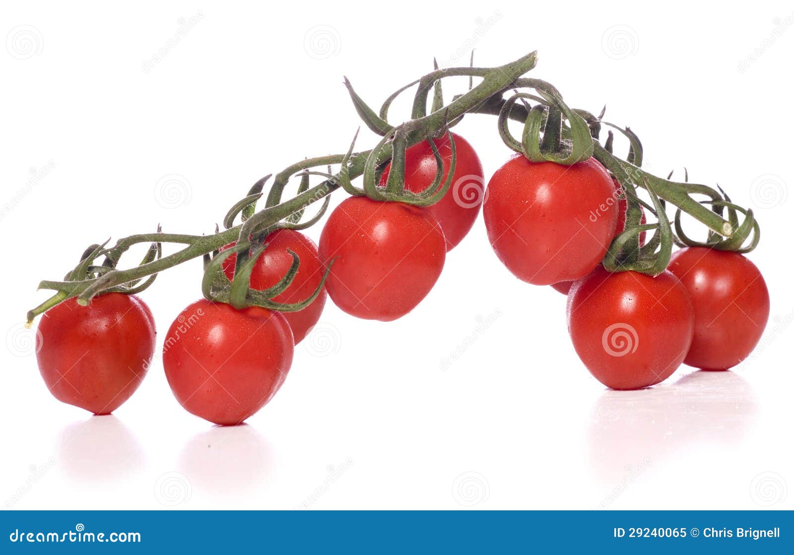 Vine tomatoes cut out stock image. Image of vine, organic - 29240065