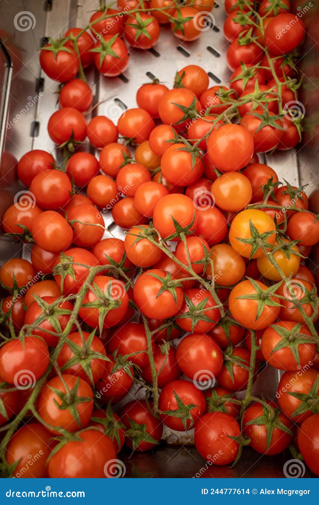 Vine Tomatoes on Display in Box Stock Photo - Image of cooking, natural ...