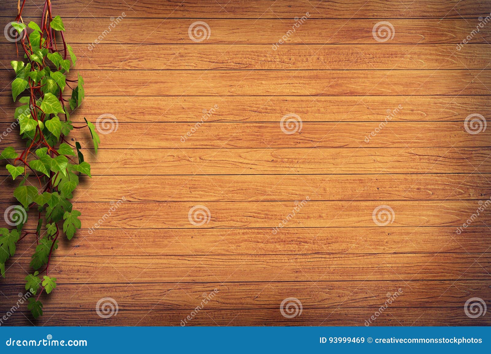 Vine On Wooden Background Picture. Image: 93999469
