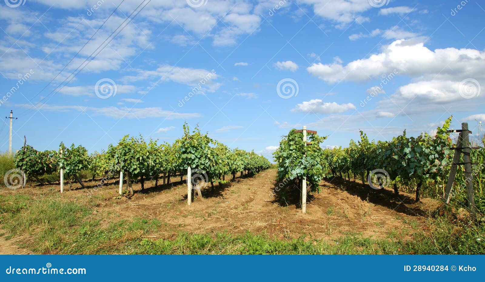 Vinery Moldova stock photo. Image of fishing, clouds - 28940284