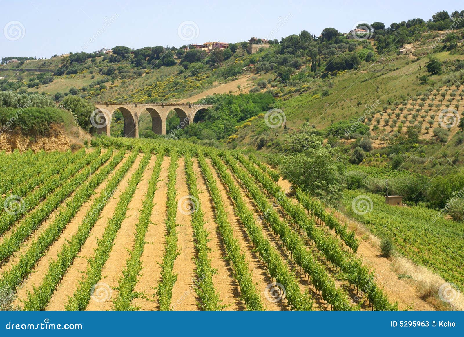 Vinery view stock image. Image of ilia, blue, alia, horizontal - 5295963