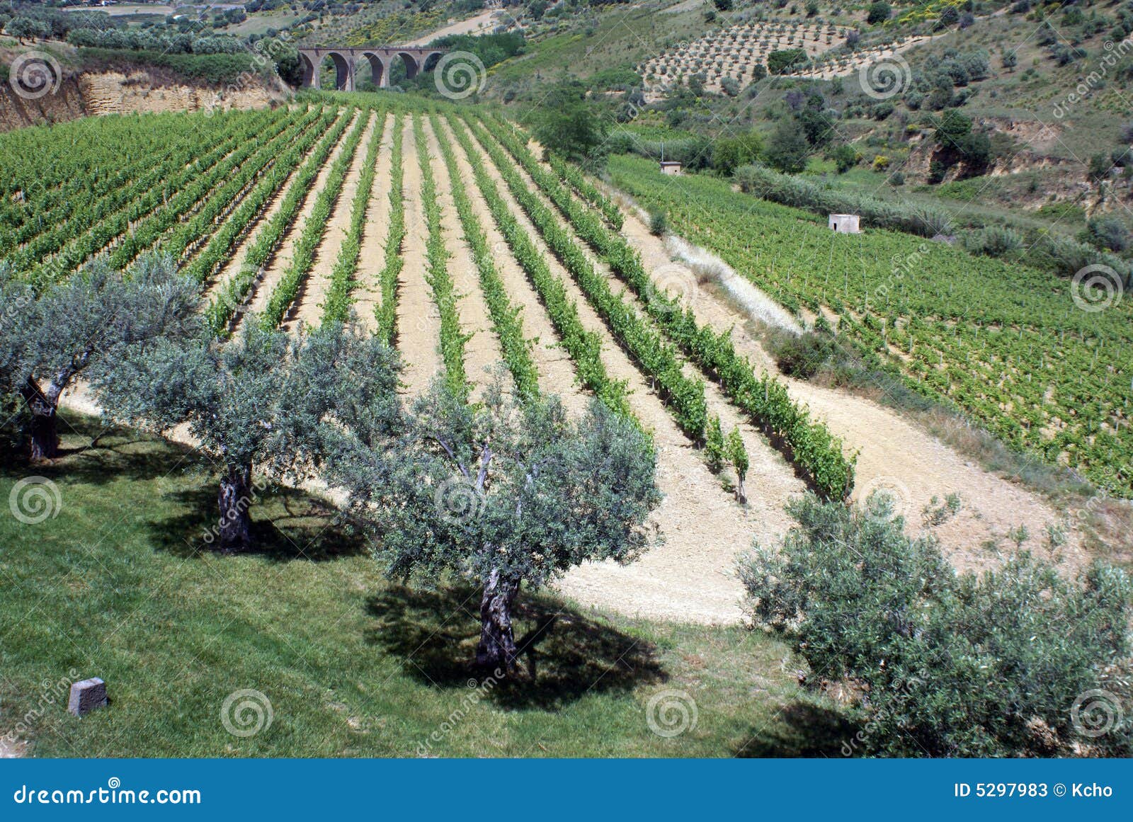 Vinery view stock image. Image of culture, background - 5297983