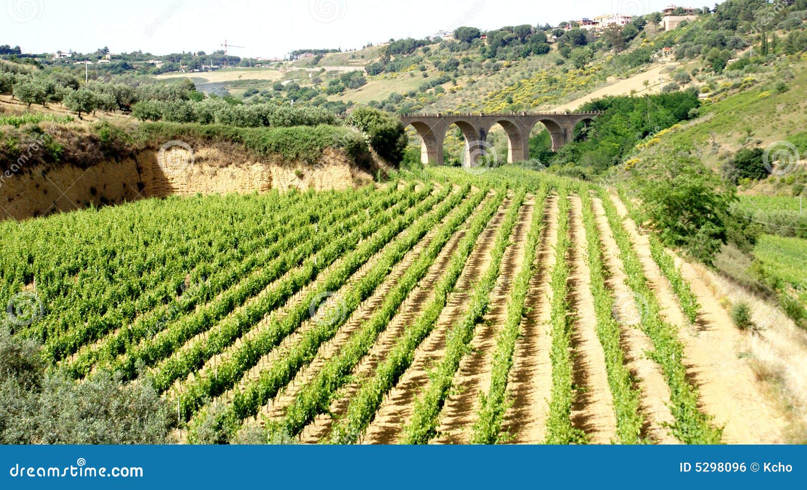 Vinery View Stock Photography | CartoonDealer.com #5298116