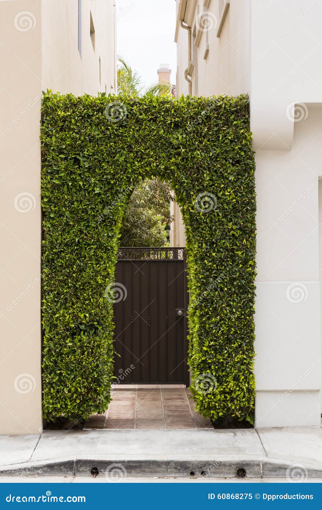 Vines around gate stock image. Image of contemporary - 60868275