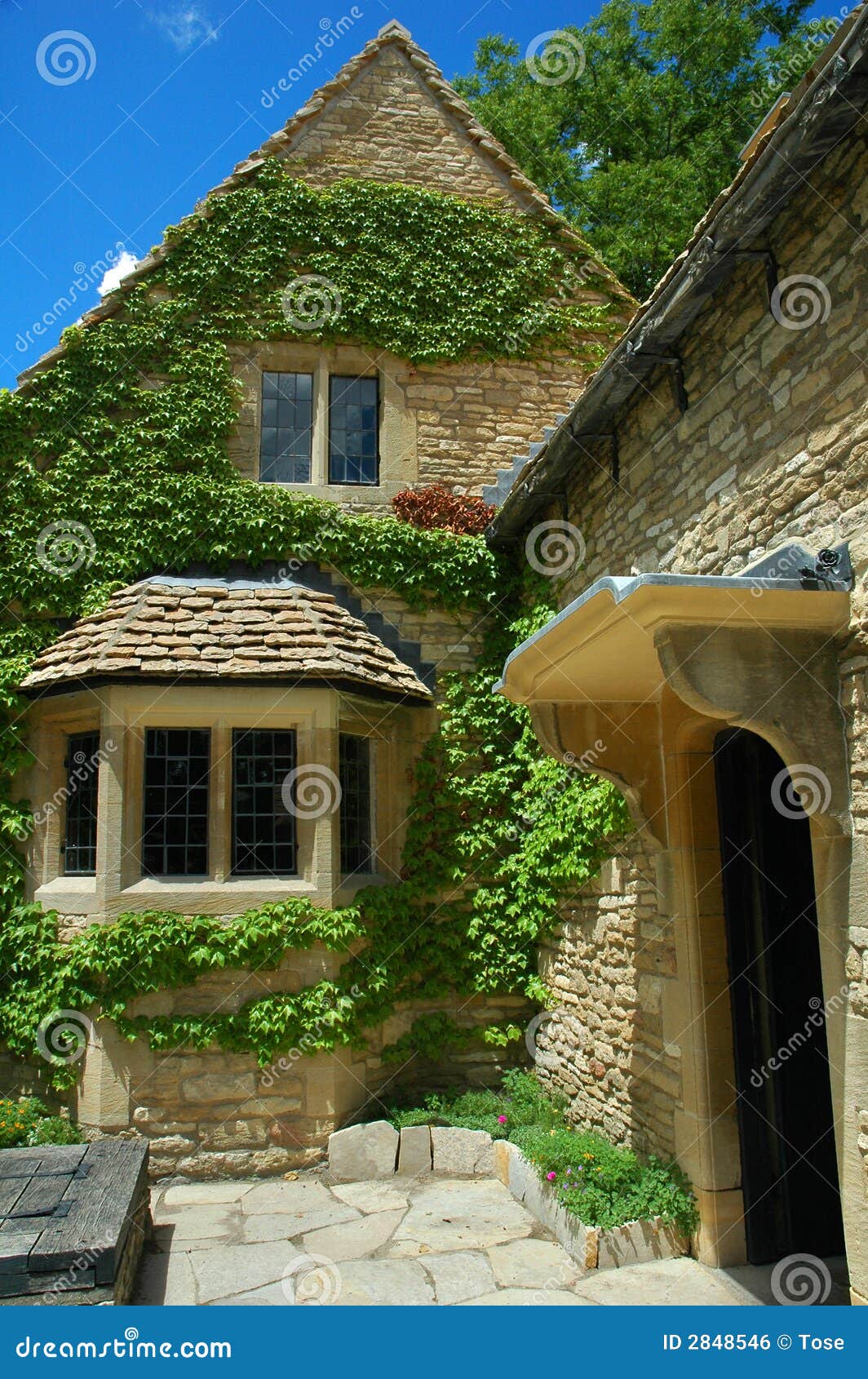 Vines on country cottage stock photo. Image of small, vine - 2848546