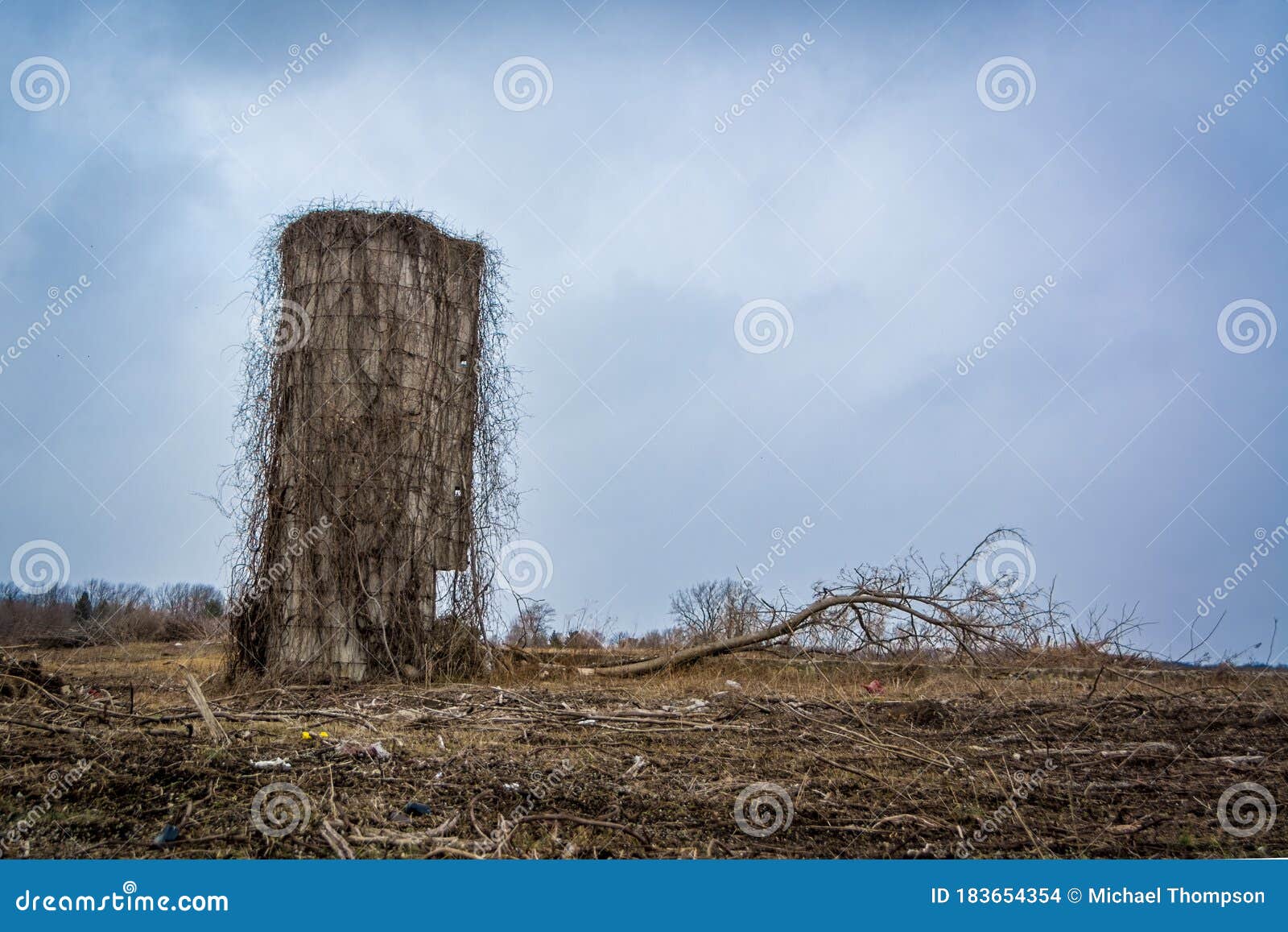 Vines Taking Over a Stone Silo in a Barren Field Stock Photo - Image of ...