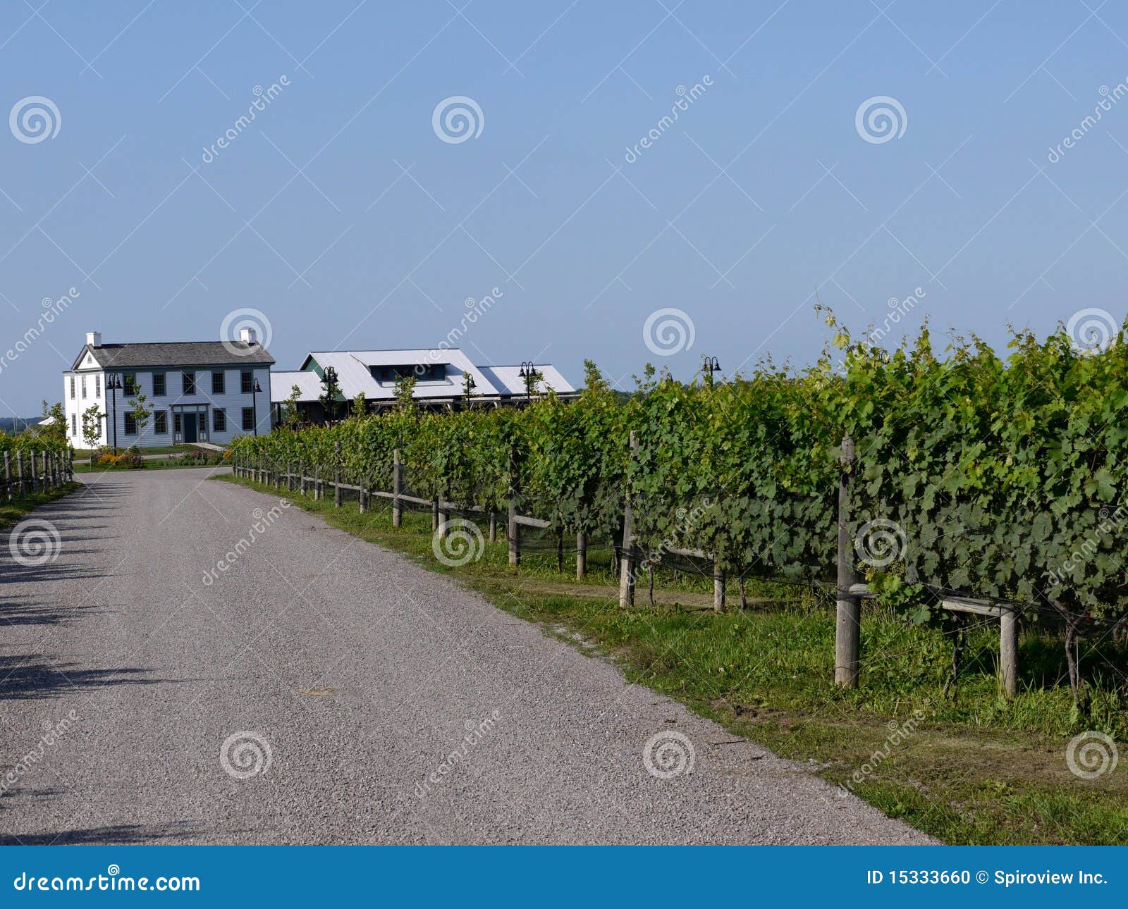 Vineyard stock photo. Image of building, driveway, winery - 15333660