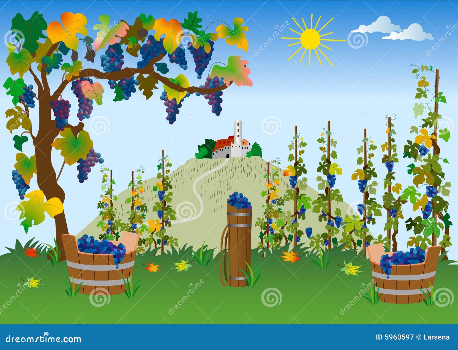 Vineyard stock vector. Illustration of wine, wooden, hill - 5960597