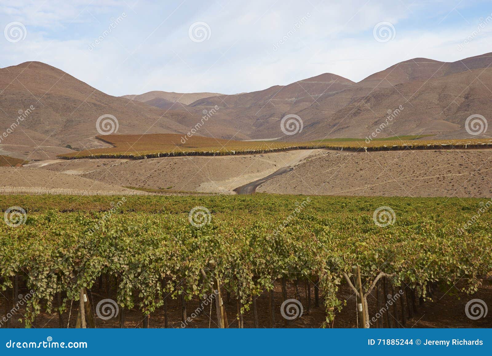 417 Copiapo Chile Stock Photos - Free & Royalty-Free Stock Photos from ...