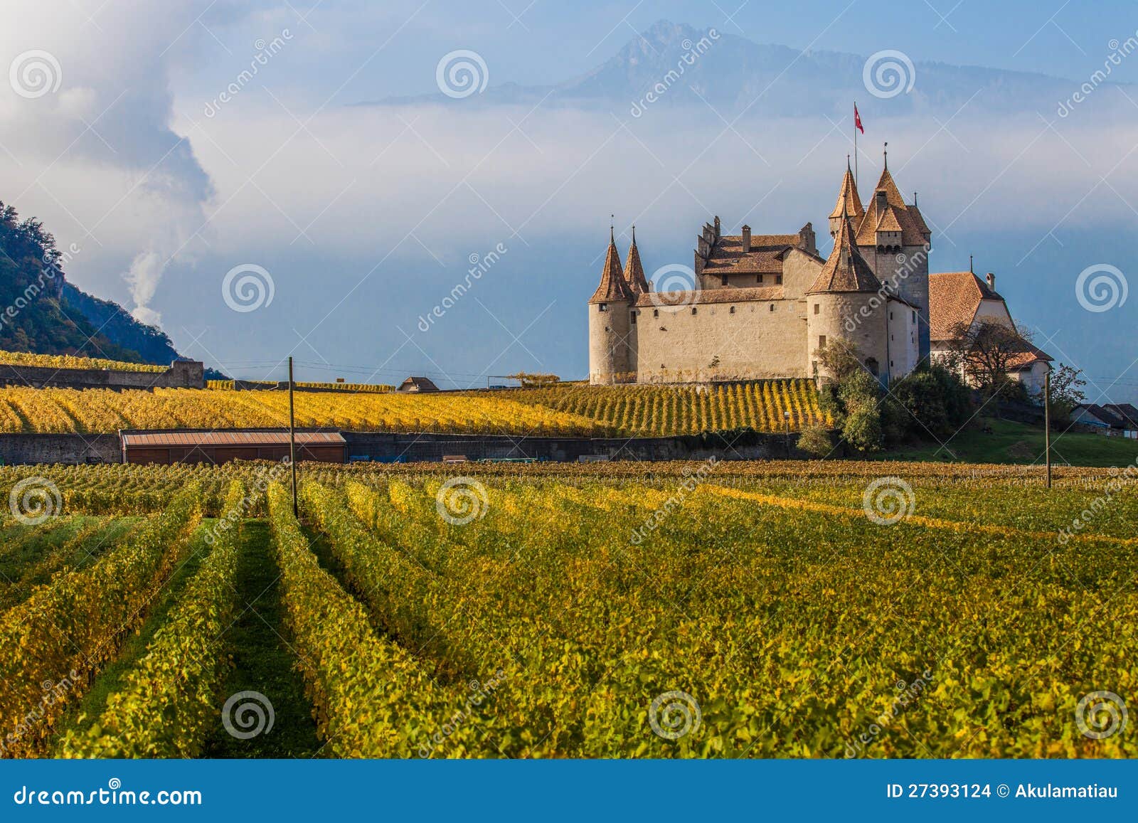 Vineyard and Castle stock photo. Image of wallis, grape - 27393124