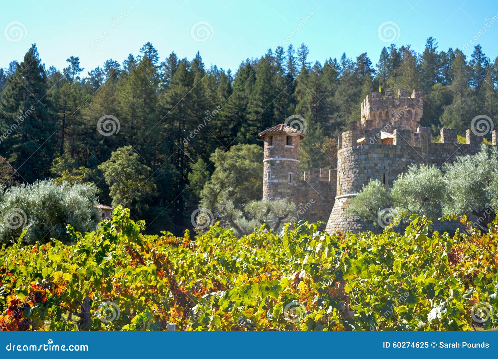 Vineyard and Castle in Napa Valley Stock Image - Image of napa, wine ...