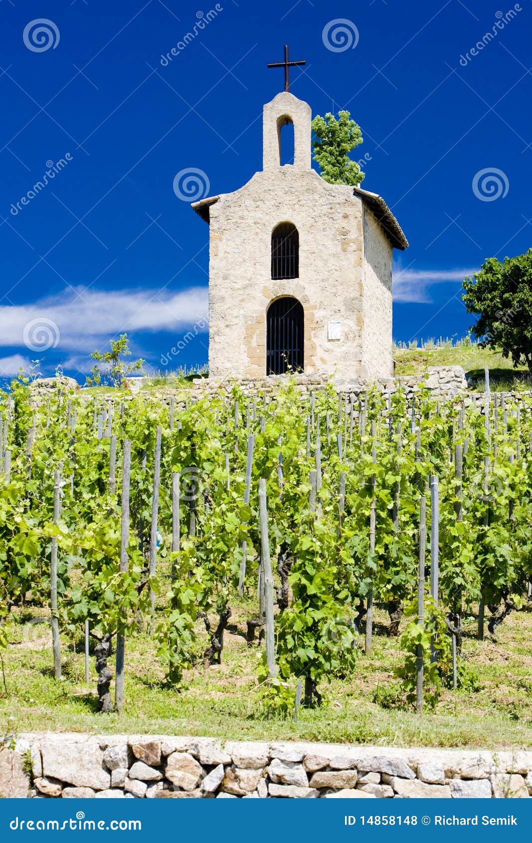 Vineyard and Chapel in France Stock Photo - Image of historical, drome ...