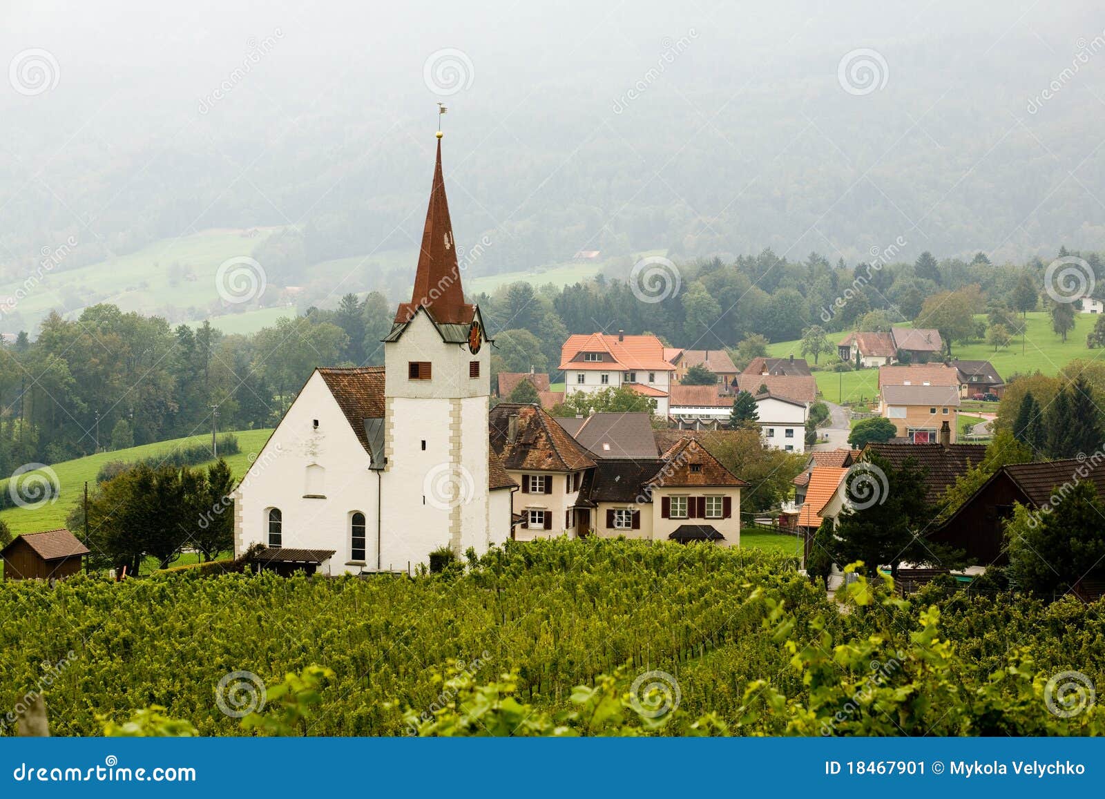 Vineyard and church stock image. Image of architecture - 18467901