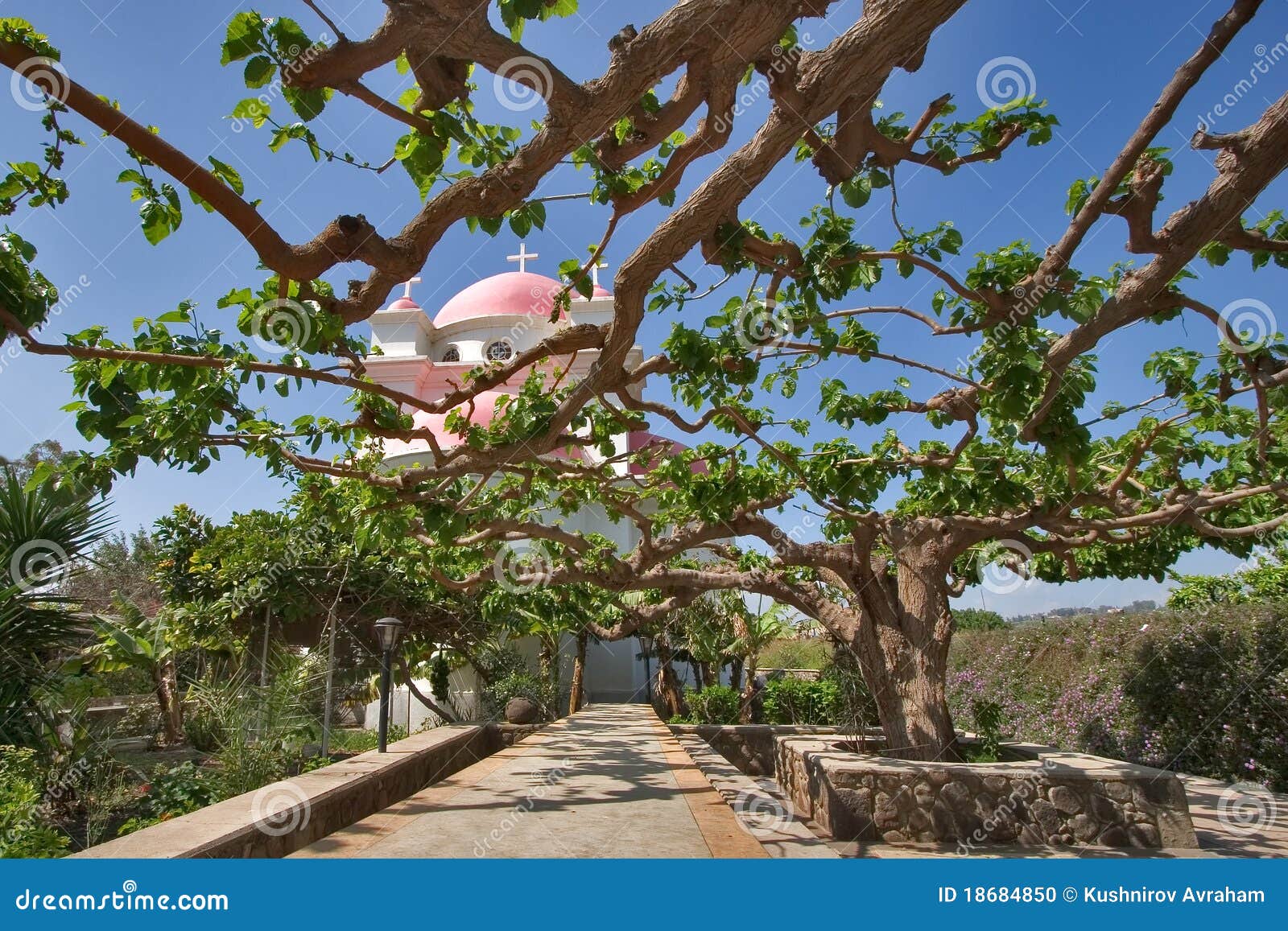 Vineyard in Church To a Garden. Stock Photo - Image of christianity ...