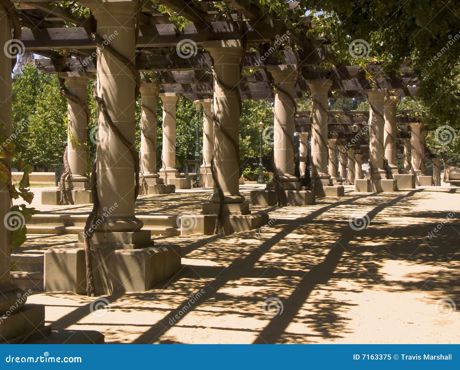 Vineyard Columns stock image. Image of winery, pillar - 7163375
