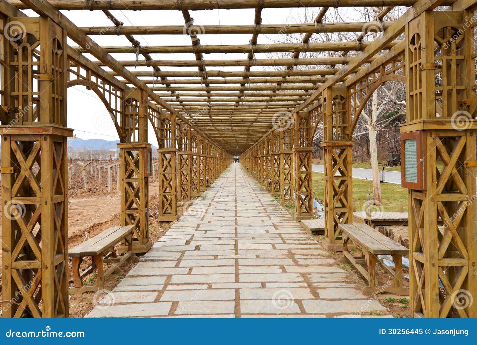 Corridor in Vineyard stock image. Image of countryside - 30256445