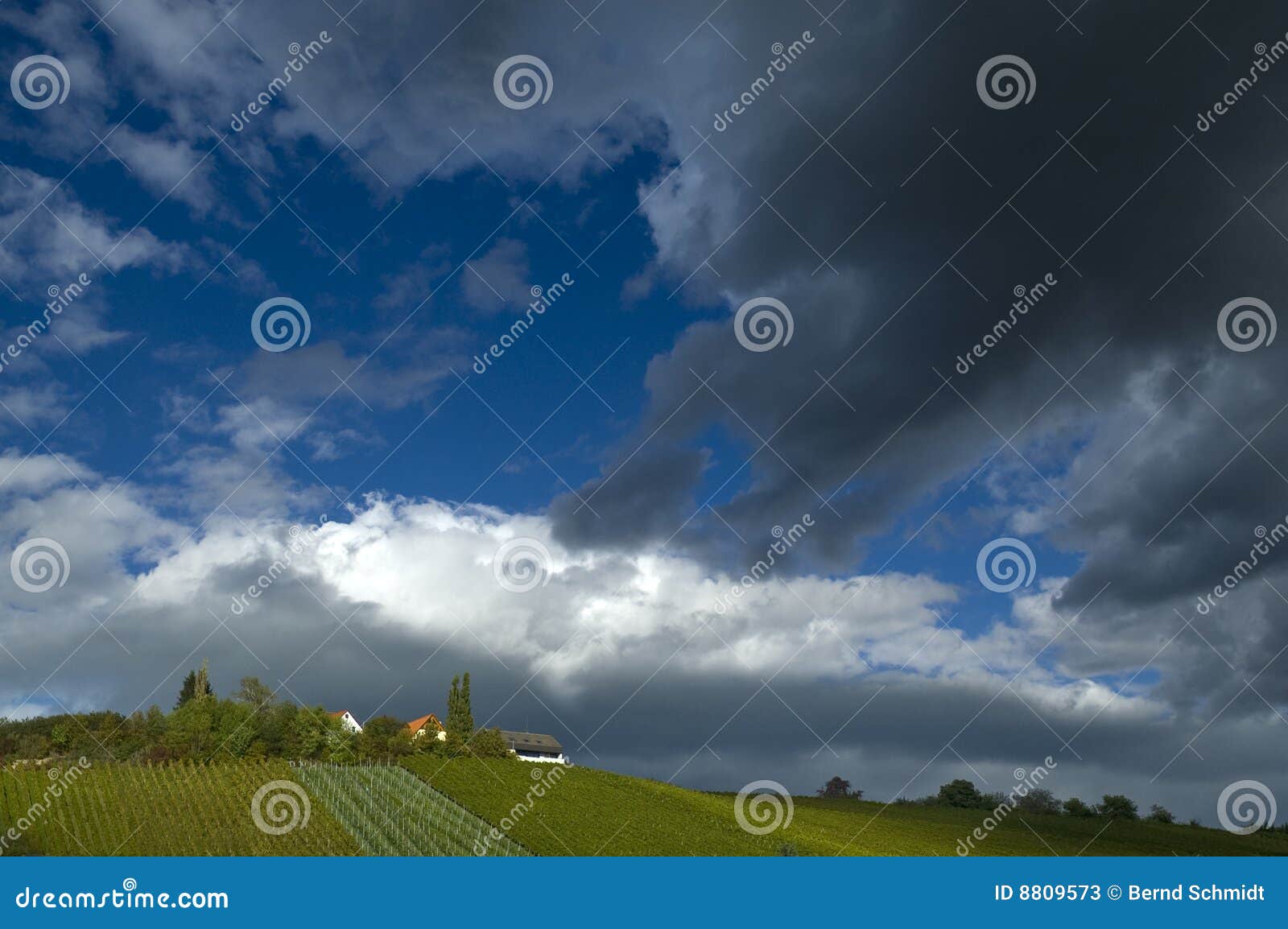 Vineyard with Dark Clouds in Autumn Stock Image - Image of vineyard ...