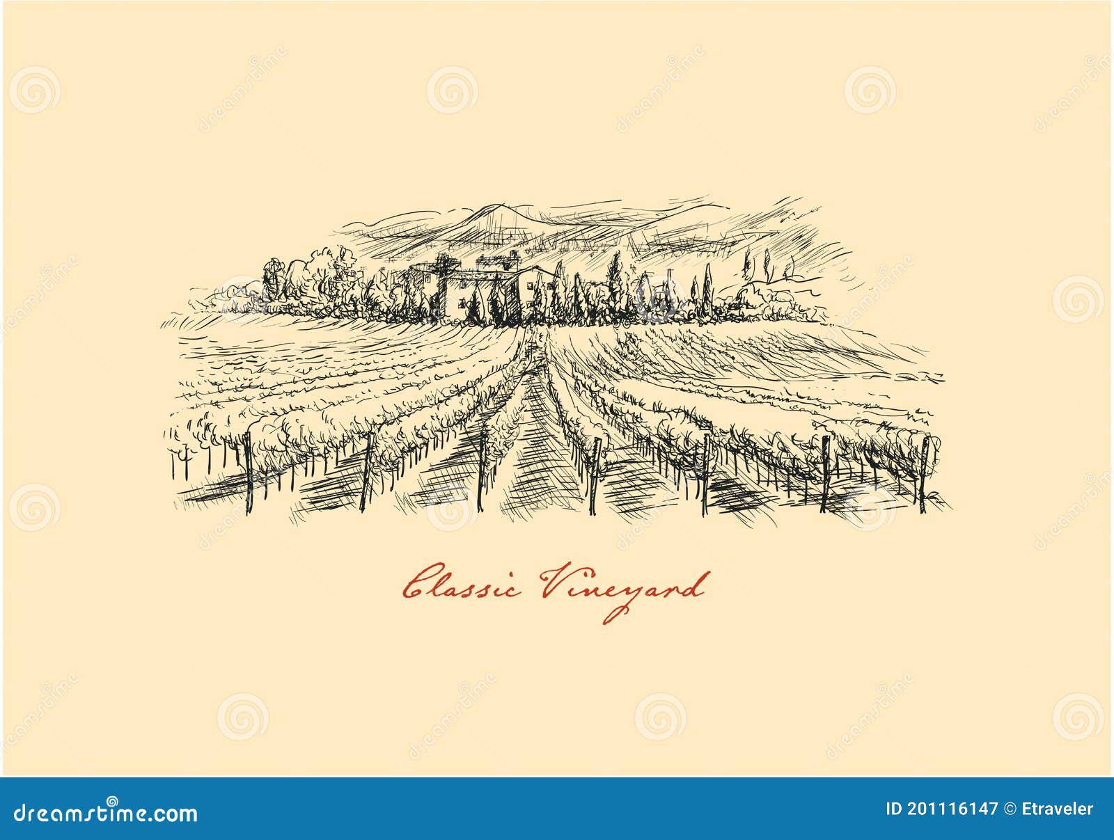 Vineyard. Drawing Classic Vineyard Landscape Stock Vector ...