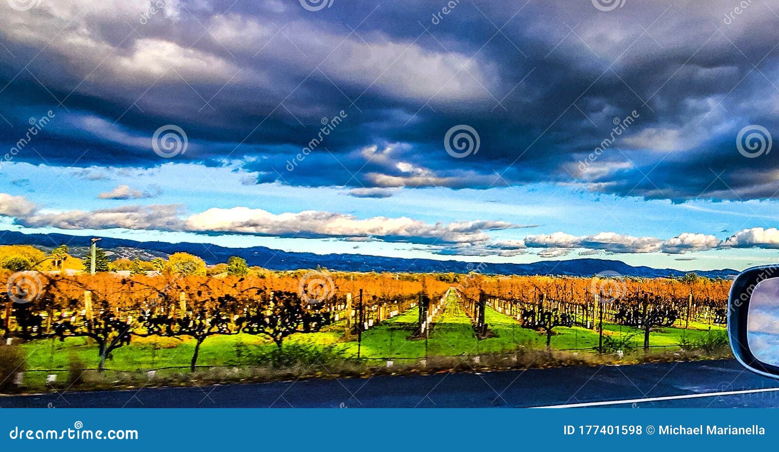 Vineyard in the fall stock photo. Image of landscapes - 177401598