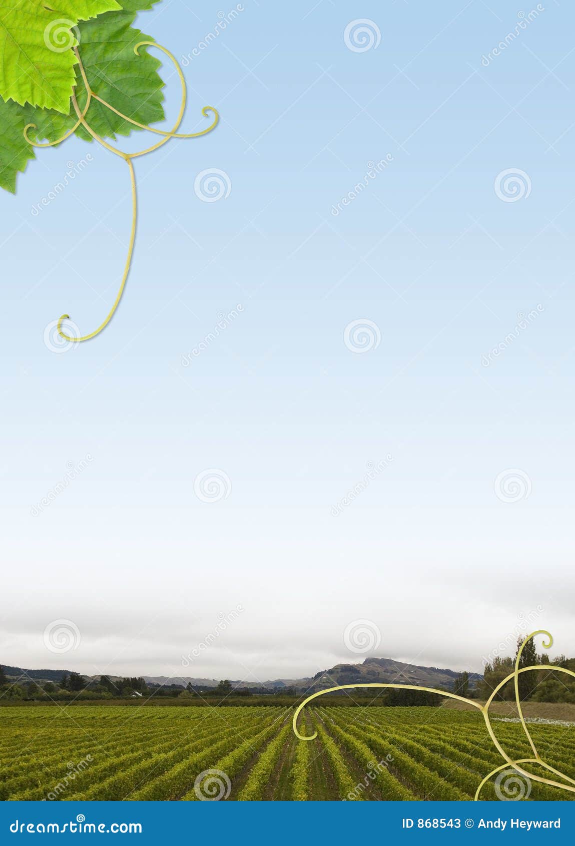 Vineyard frame stock image. Image of wine, vine, mata, space - 868543