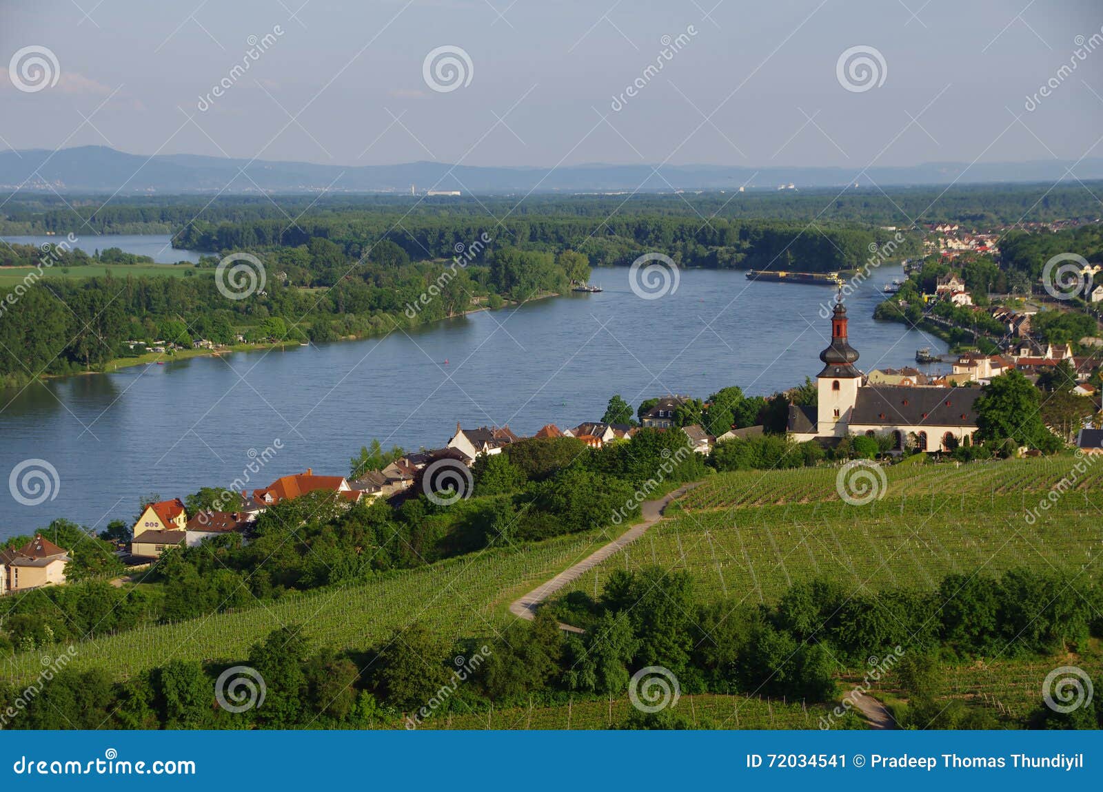 Vineyard in Germany stock image. Image of nierstein, walkway - 72034541