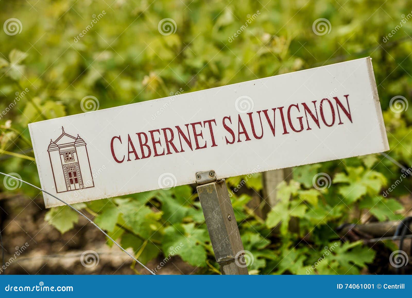 Vineyard Grape Identification Sign Stock Image - Image of france, grape ...