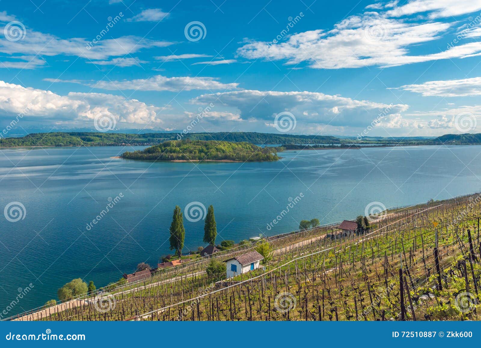 Vineyard by the Lake of Biel Stock Image - Image of switzerland, bienne ...