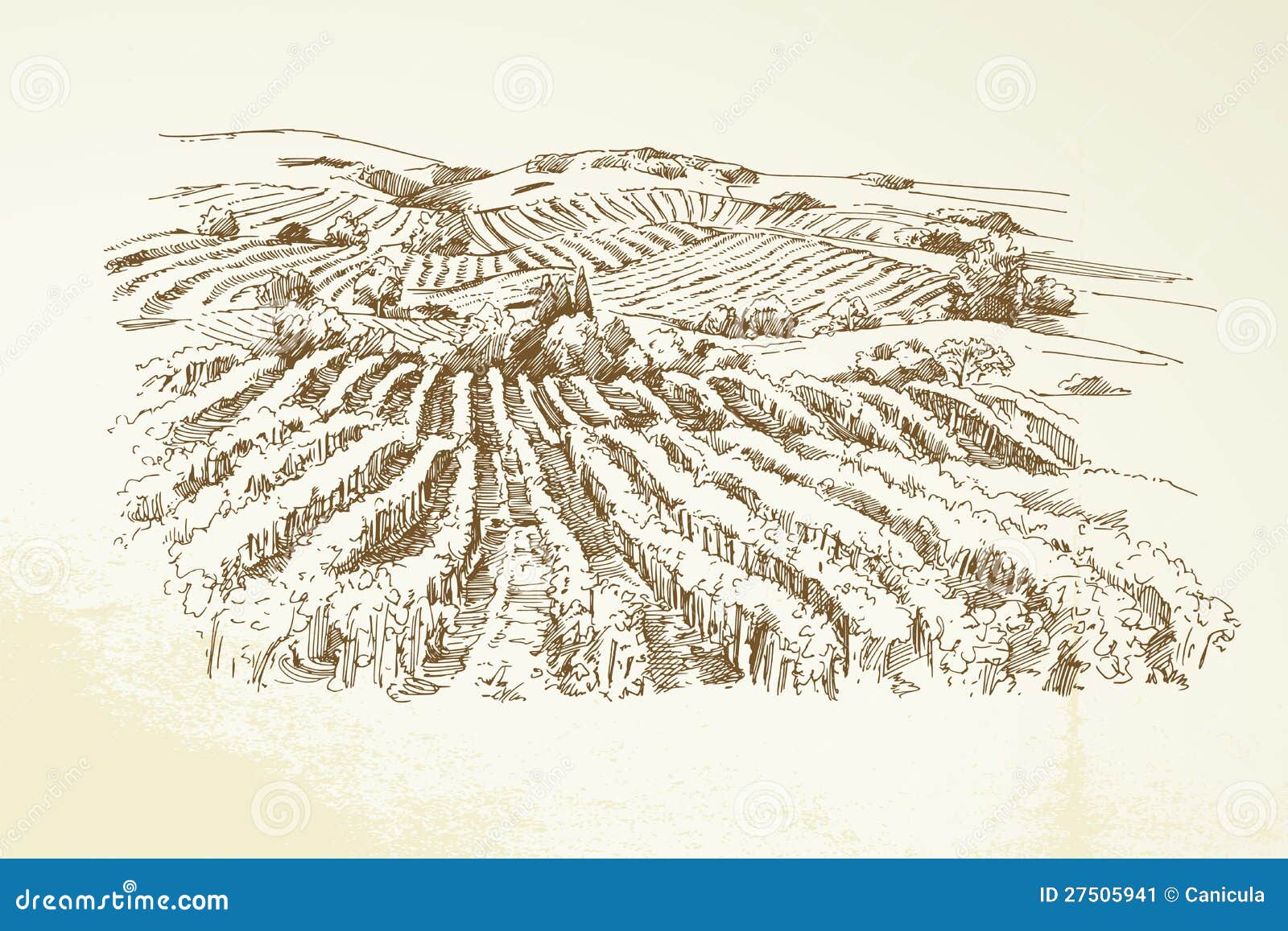 Vineyard Landscape stock vector. Illustration of plant - 27505941