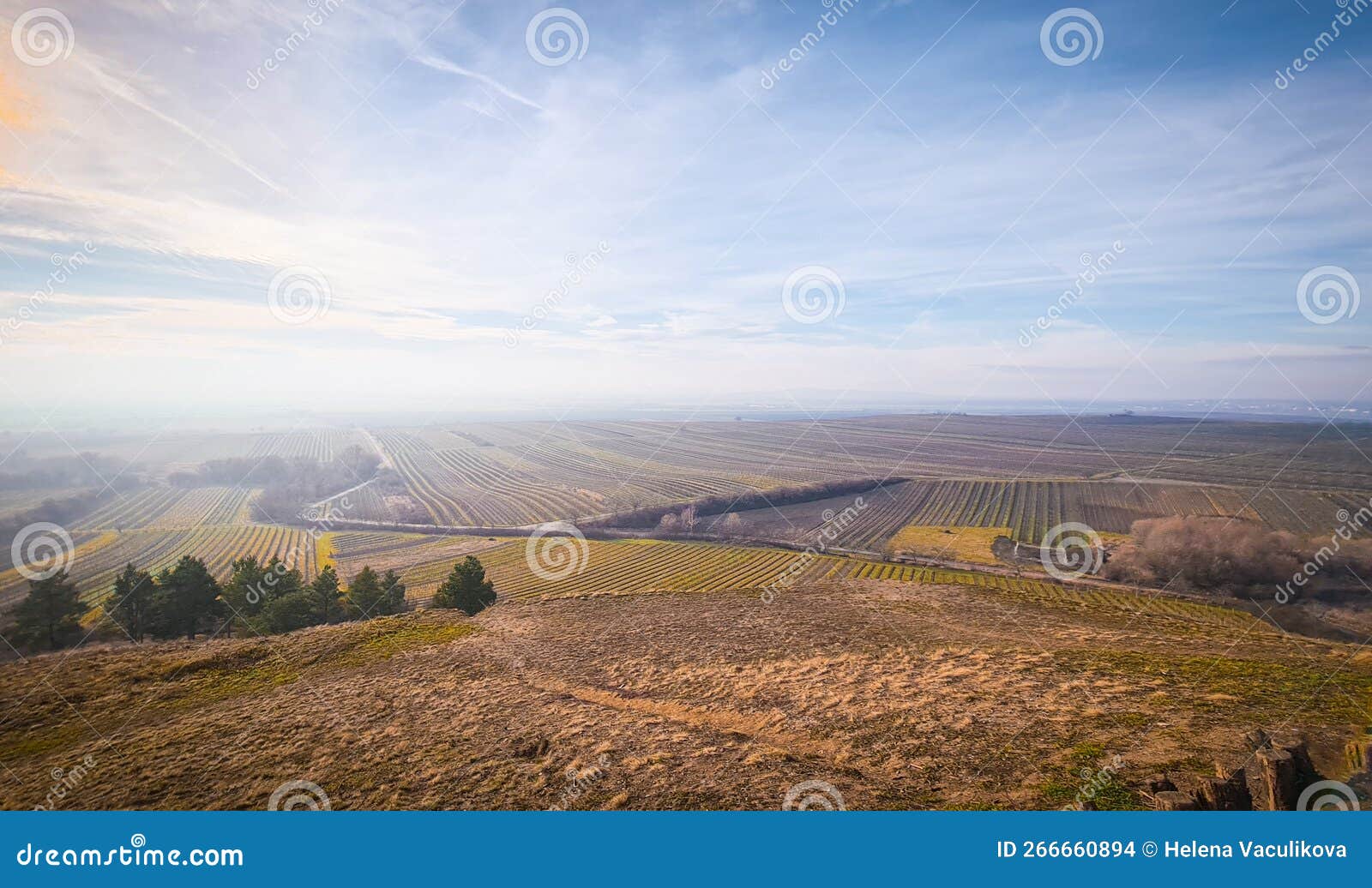 Vineyard panorama stock photo. Image of enclosures, locations - 266660894
