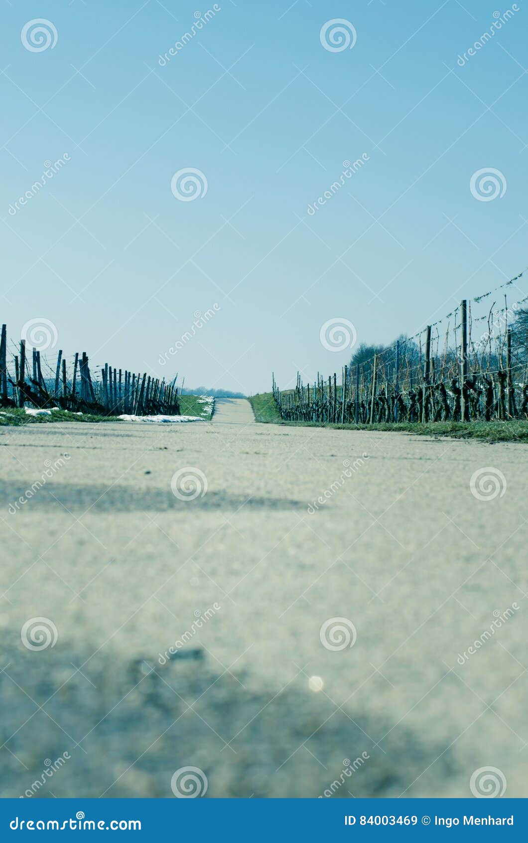 Vineyard road stock image. Image of road, nature, path - 84003469