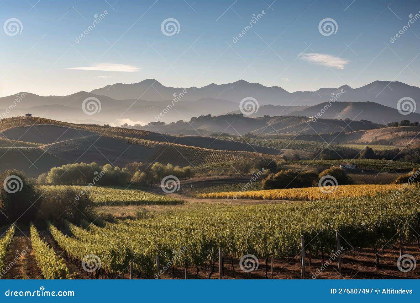 Vineyard with Rolling Hills, Towering Mountains in the Distance, and ...