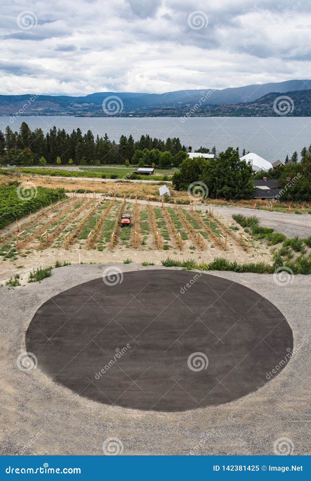 Vineyard with Round Helipad on the Lake Shore. Stock Image - Image of ...