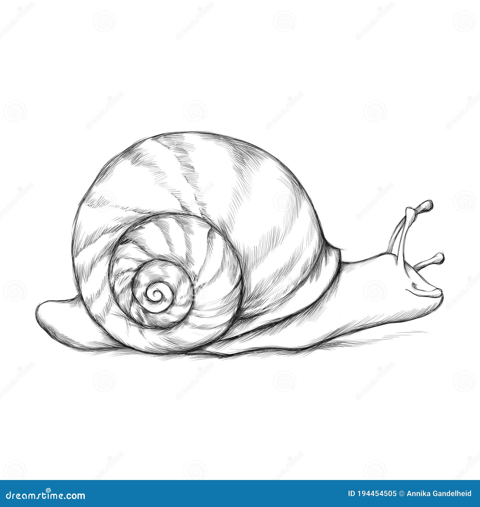 Vineyard Snail with Snail Shell Stock Illustration - Illustration of ...