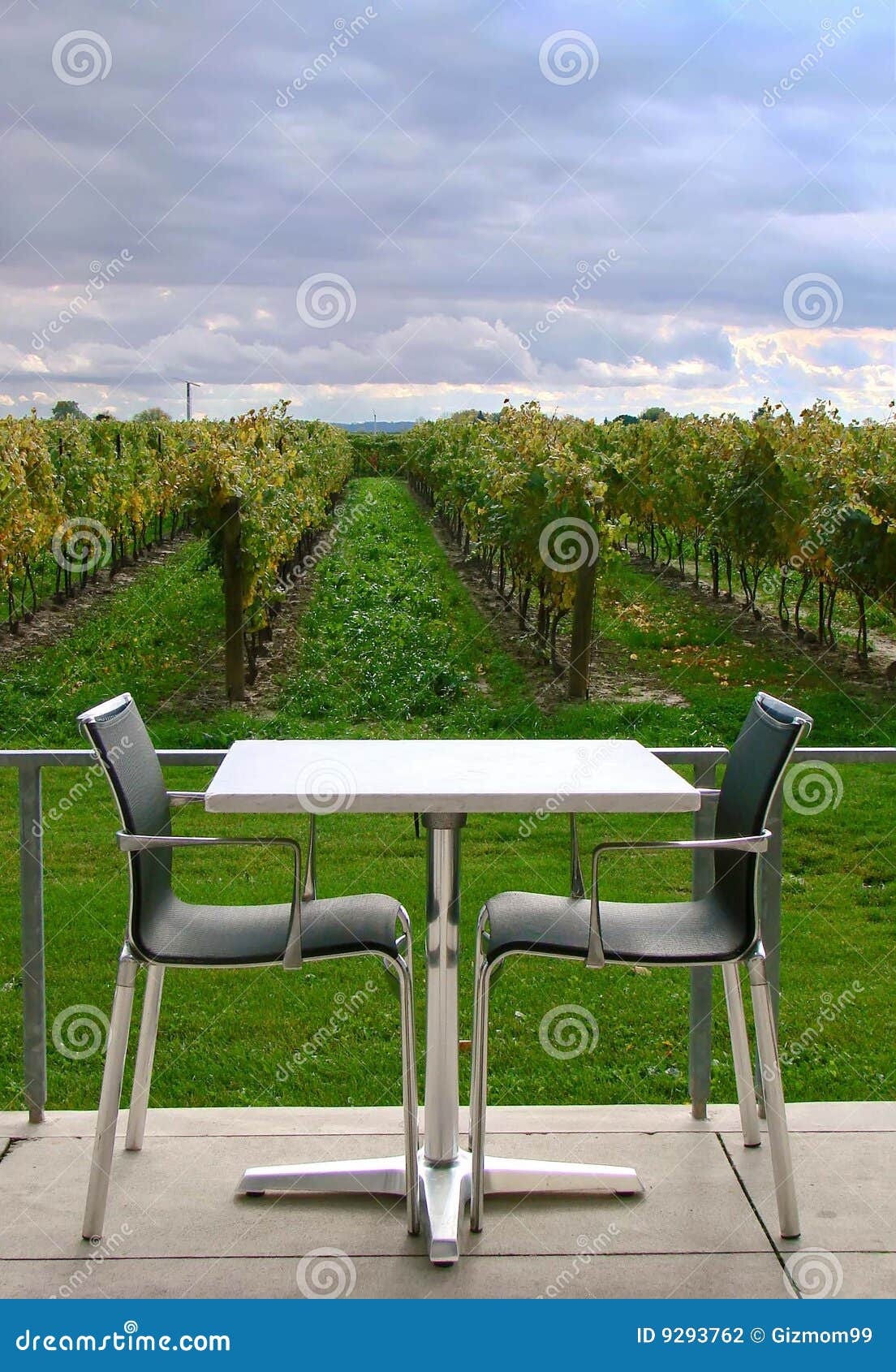 Vineyard Table for Two stock photo. Image of farming, eating - 9293762
