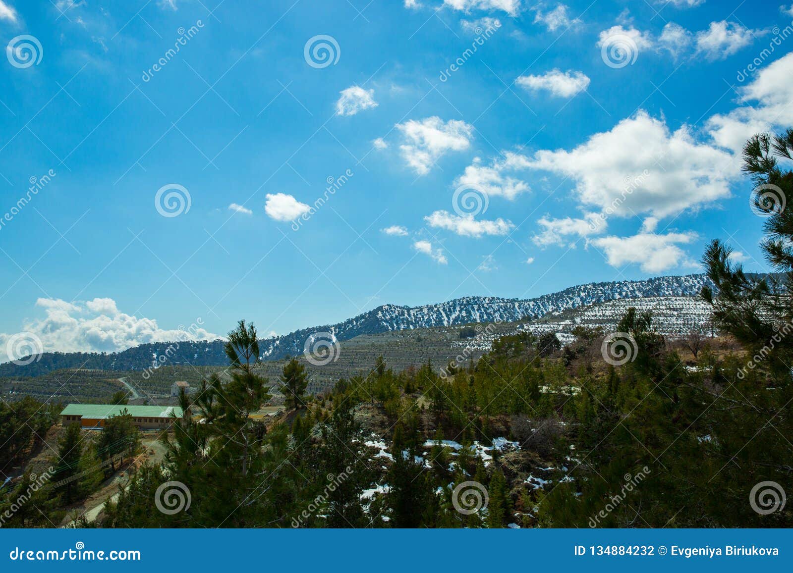 Vineyard in Troodos Mountainswith Snow in Spring, Cyprus Stock Photo ...