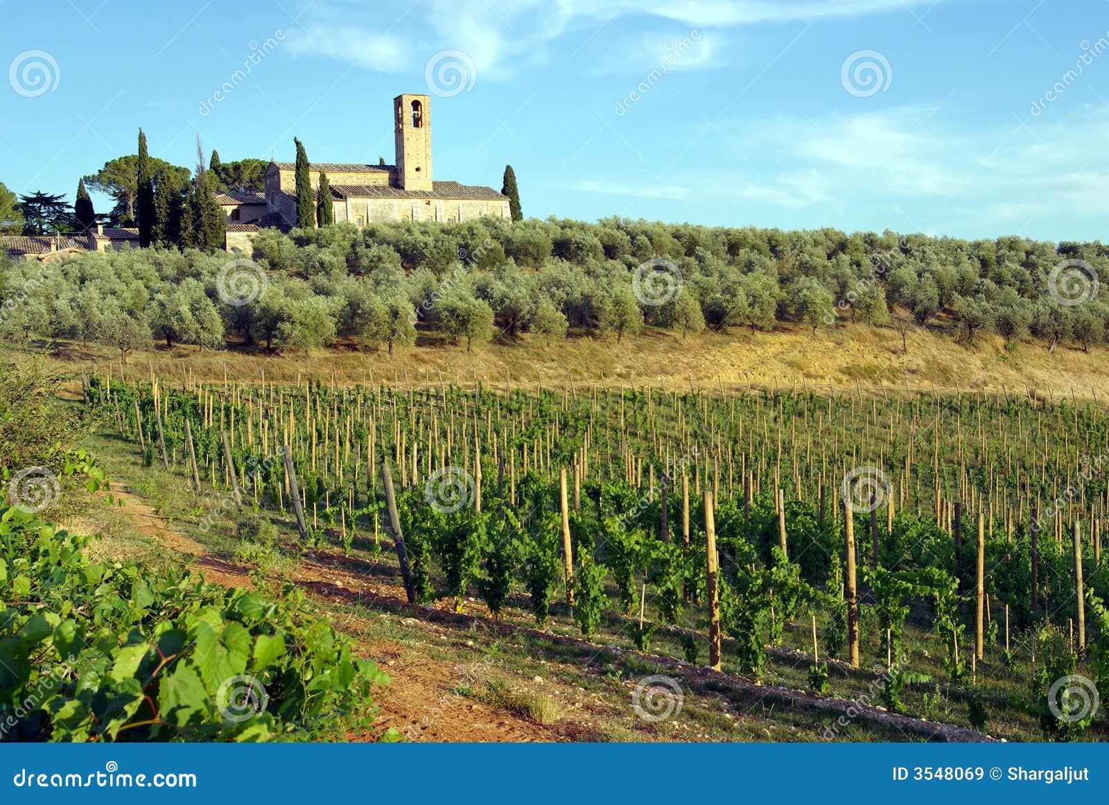 Vineyard in Tuscany, Italy stock image. Image of destination - 3548069