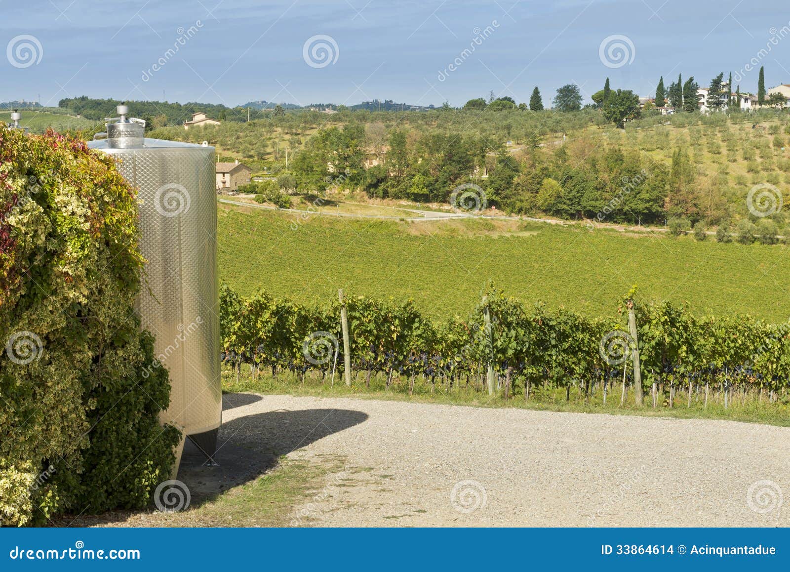 Vineyard and Vat for Wine-making Stock Photo - Image of storage, aging ...