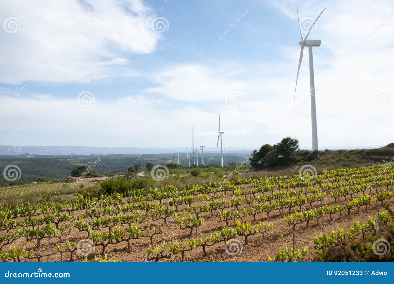 Vineyard in Wind Turbine Field - Spain Stock Image - Image of ...