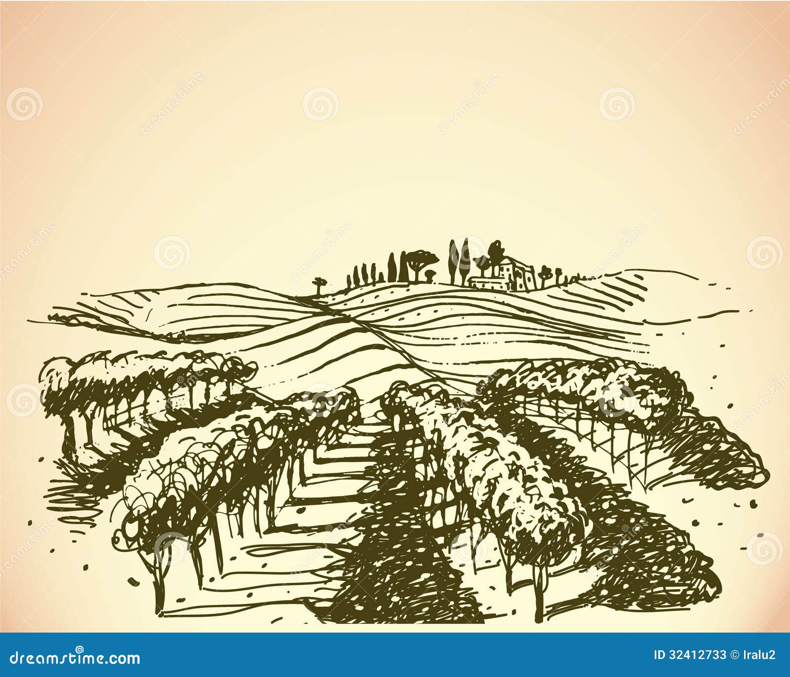 Vineyard. Wine & Grape Illustration. Stock Vector - Illustration of ...