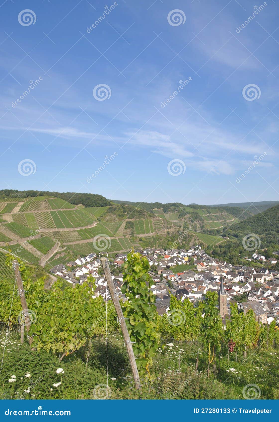 Vineyards in the Ahr Valley,Germany Stock Image - Image of viticulture ...