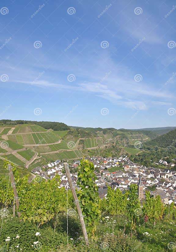 Vineyards in the Ahr Valley,Germany Stock Image - Image of viticulture ...