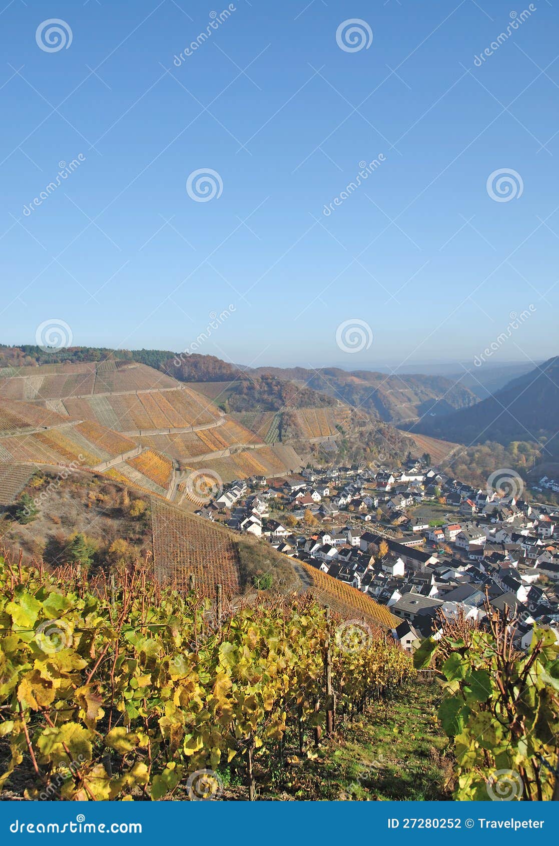Vineyards in the Ahr Valley,Germany Stock Photo - Image of village ...