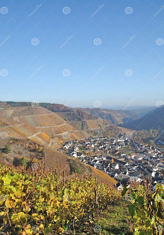 Vineyards in the Ahr Valley,Germany Stock Photo - Image of village ...