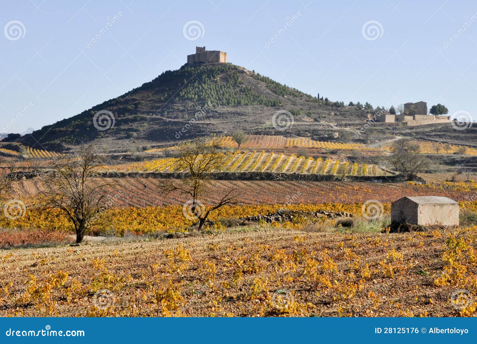 Vineyards in Autumn, La Rioja, Spain Stock Photo - Image of fortress ...