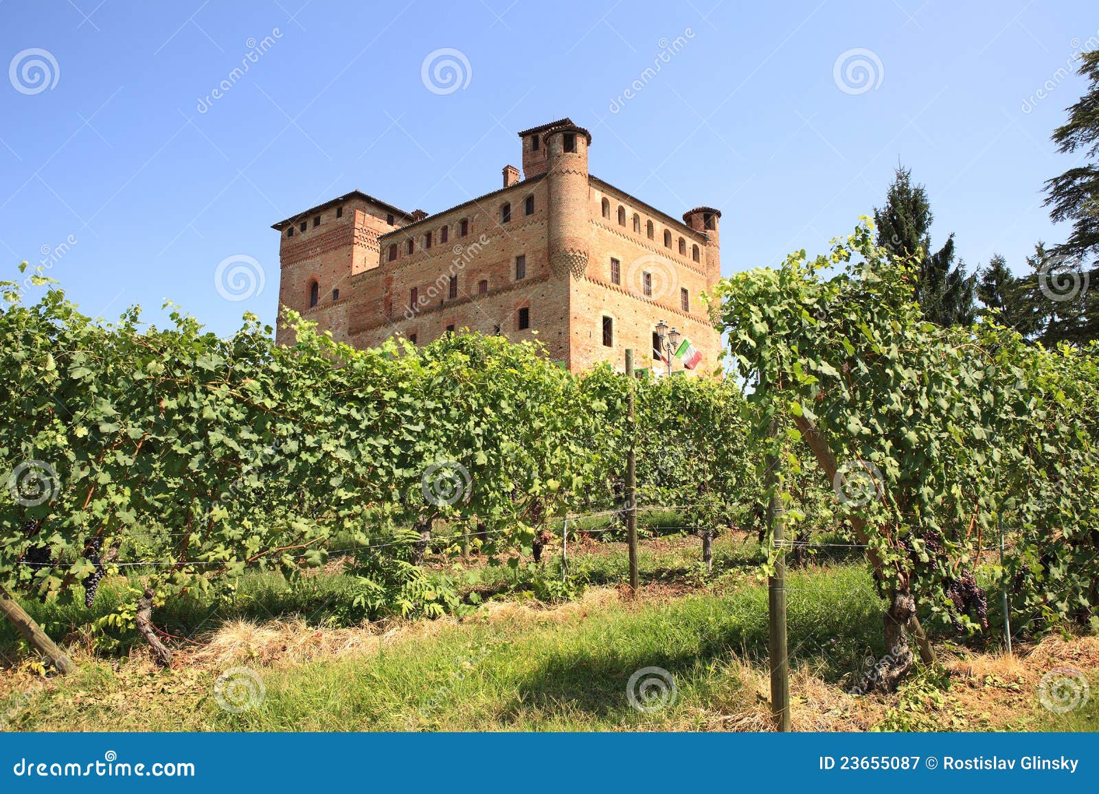 Vineyards and Castle of Grinzane Cavour. Stock Image - Image of land ...