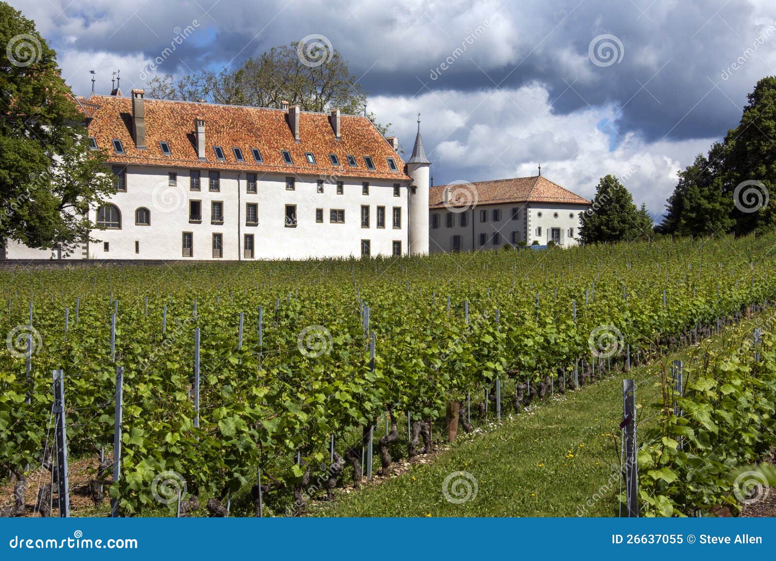 Vineyards - Chateau Allaman - Switzerland Editorial Image - Image of ...