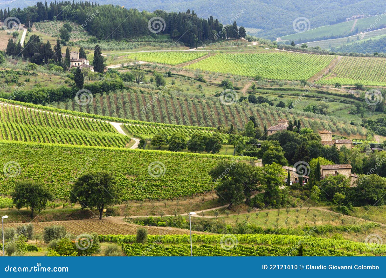 VIneyards of Chianti (Tuscany) Stock Photo - Image of chianti, tuscany ...