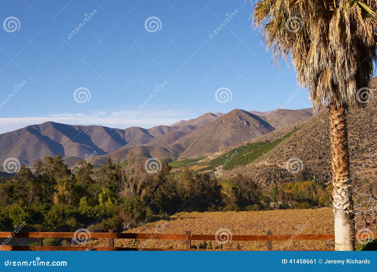 Vineyards of Chile stock image. Image of mountain, travel - 41458661