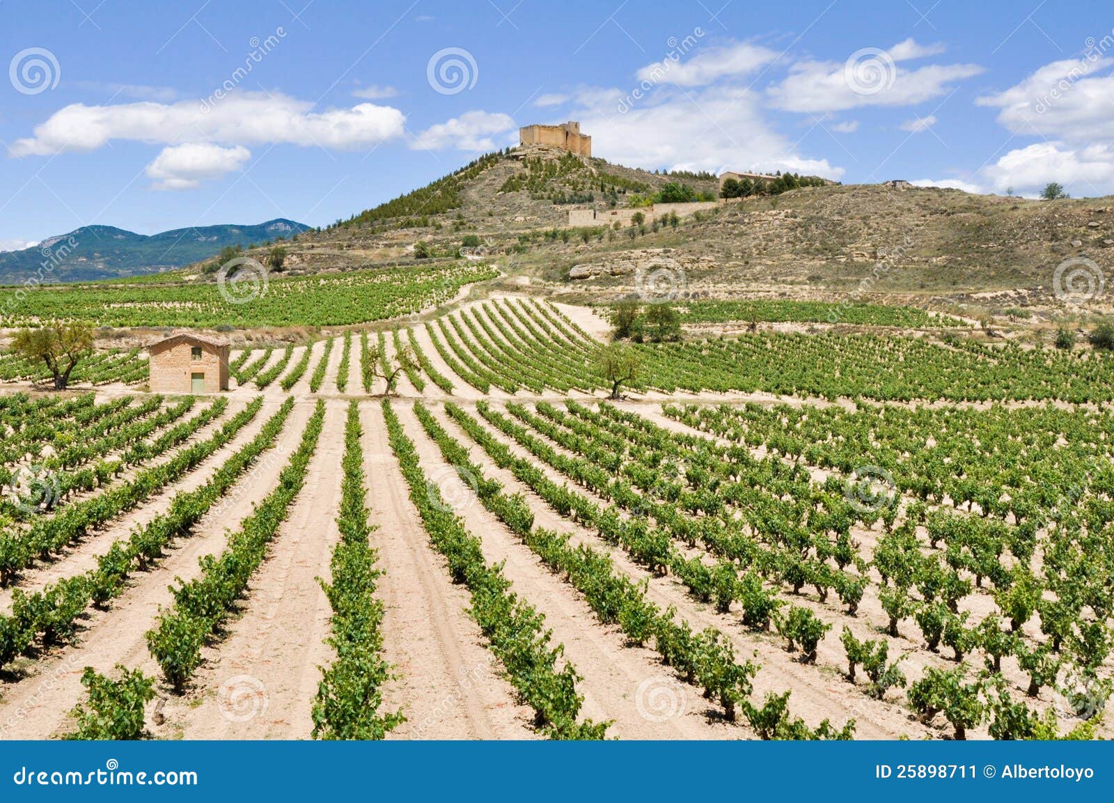 Vineyards and Davalillo Castle, La Rioja (Spain) Stock Image - Image of ...