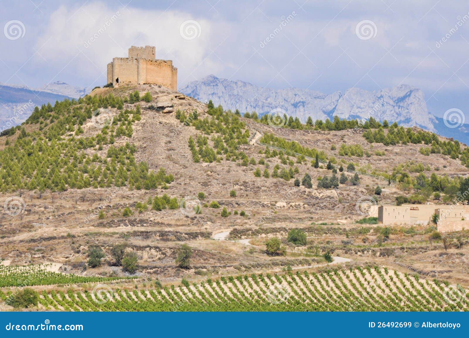 Vineyards and Davalillo Castle, La Rioja, Spain Stock Image - Image of ...